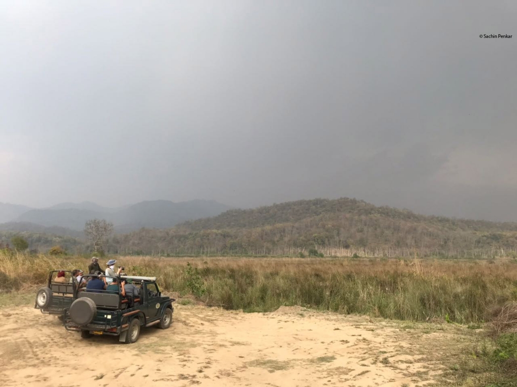 Accommodation And Tours Around Jim Corbett National Park - Dhikala Zone