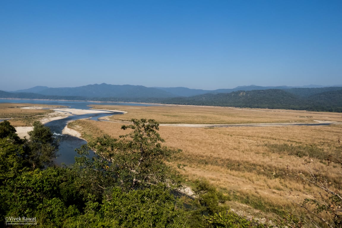 Jim Corbett Park: Place Of Interest - Dhikala Zone